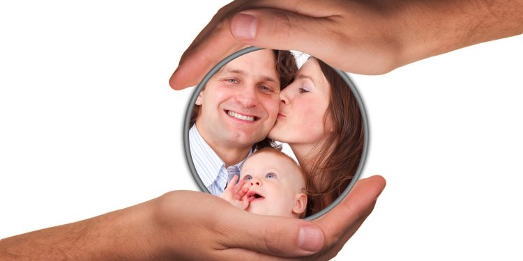 Family Law in Canada: A How-to Guide - The Seeker Newsmagazine Cornwall