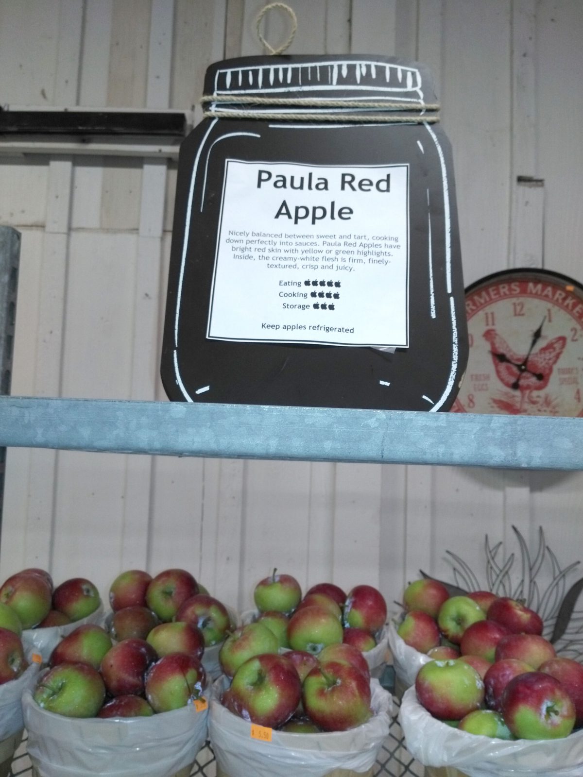 OUT and ABOUT with Seeker Chick Mai-Liis - at Marlin Orchards & Garden ...